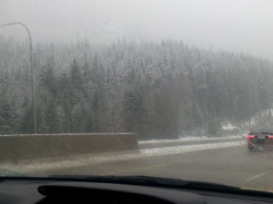 The Adventures of Tex and Fed in The Land of the Murdertrees, Part Two ...