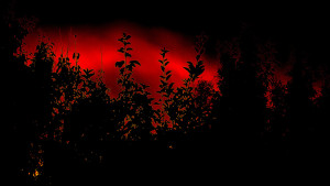 Chicken Little | The Continuing Adventures of Tex Batmart