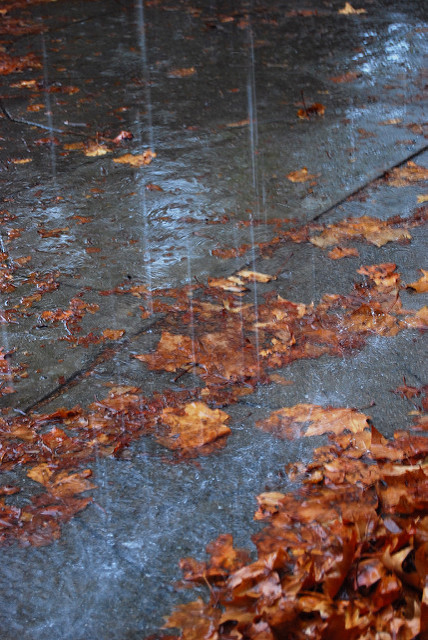 The Continuing Adventures of Tex Batmart | Exploring the Universe ...